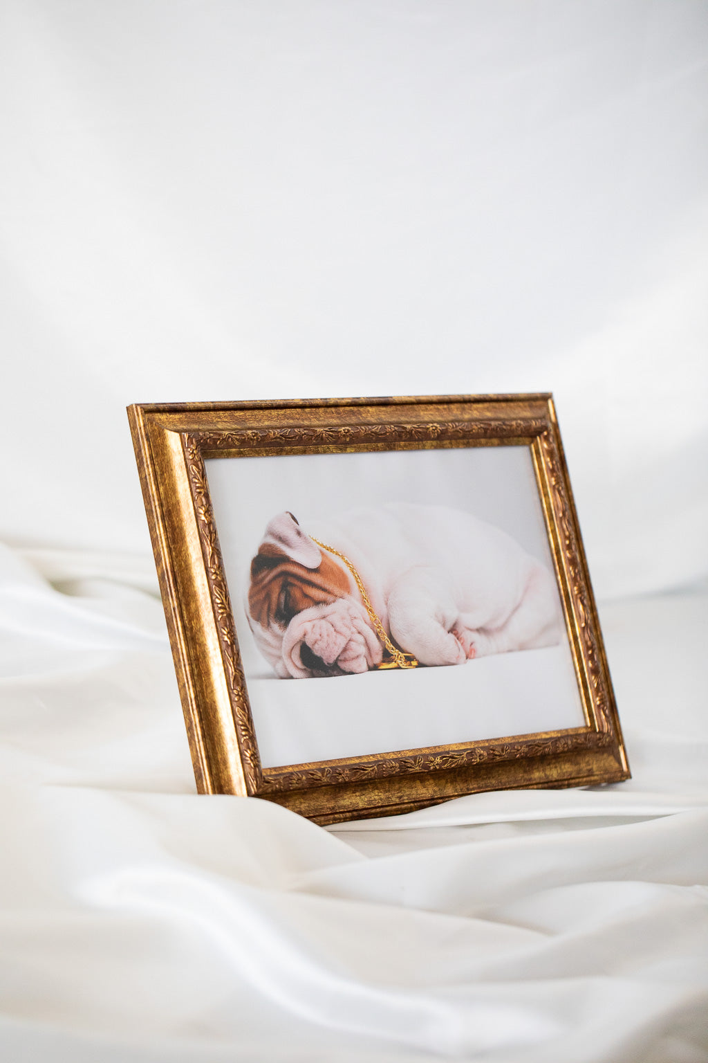 Prints + Frames – Salma Alessa Photography